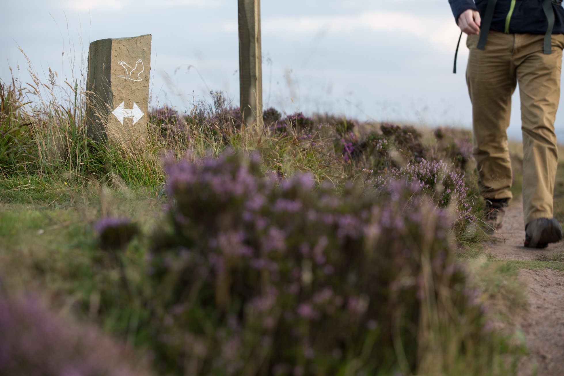 Walk the St Magnus Way | Orkney.com
