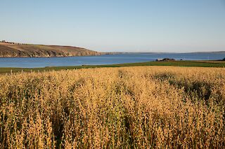 Introducing Orkney's Makers - Scapa Crafts | Orkney.com