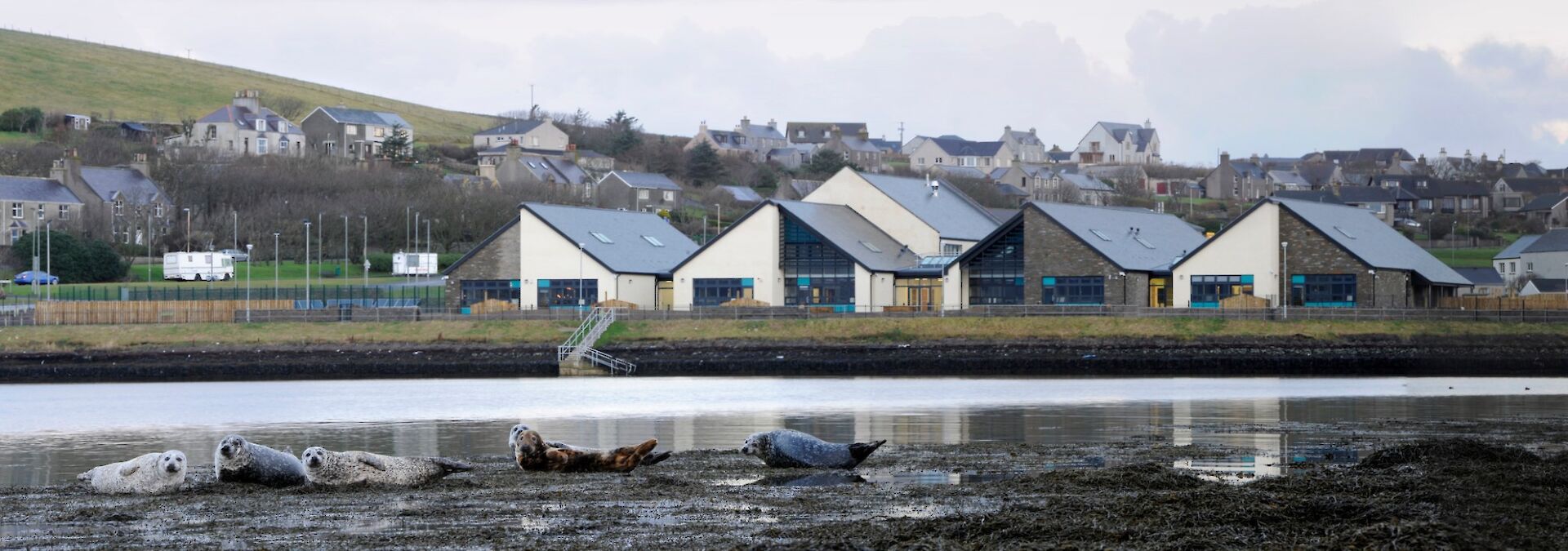 Education in Orkney