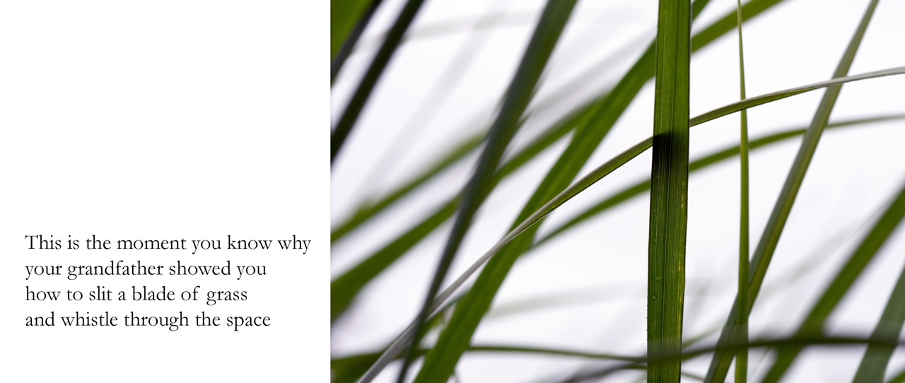 When the grass dances: Talk & readings | Orkney.com