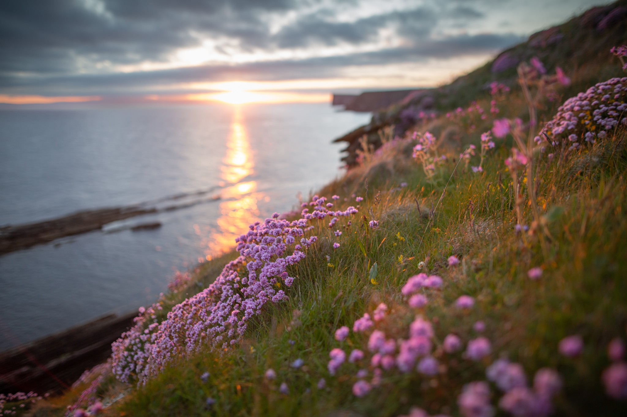 2022 - a year in images | Orkney.com