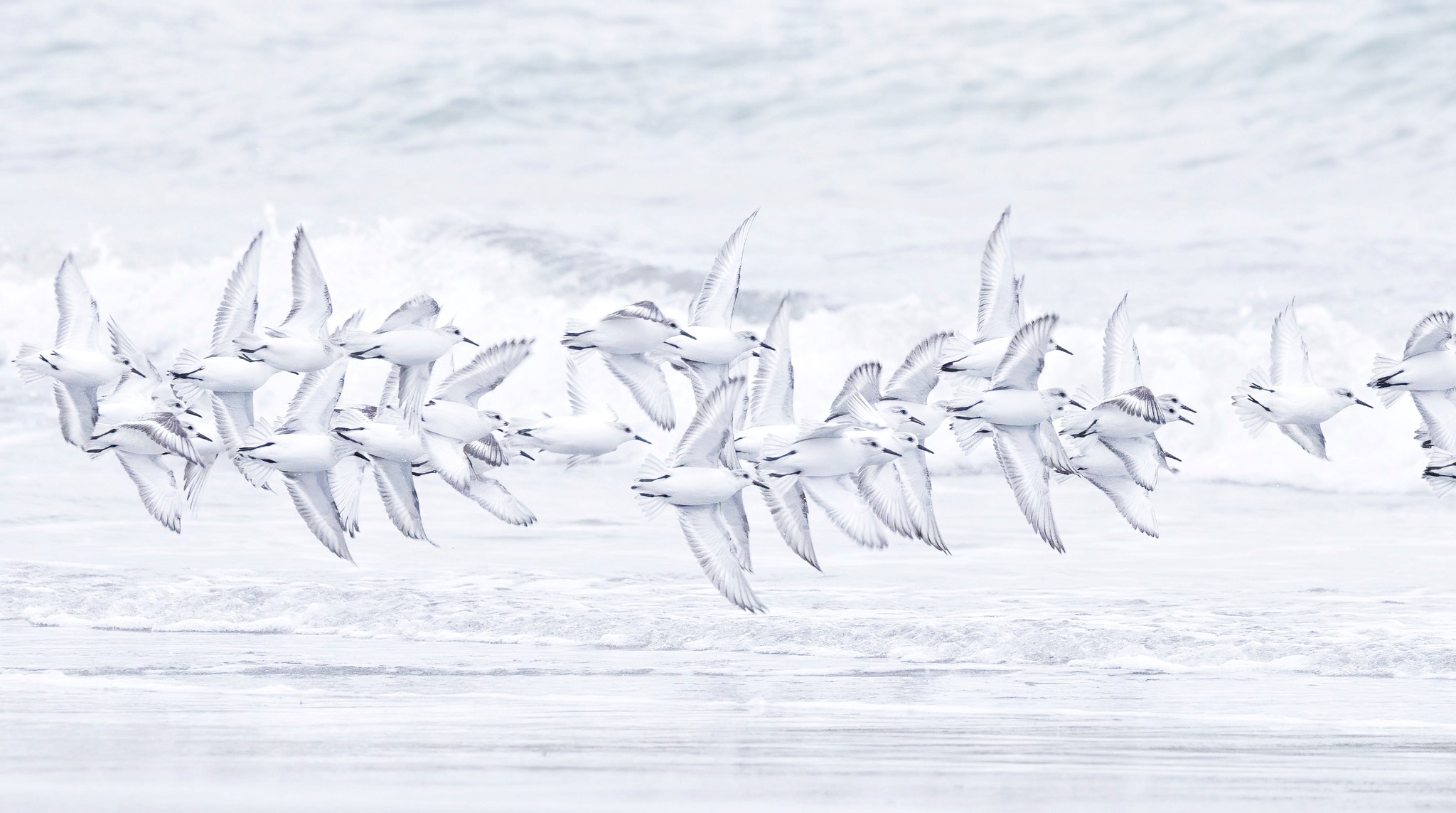 Winter scenes in Orkney | Orkney.com