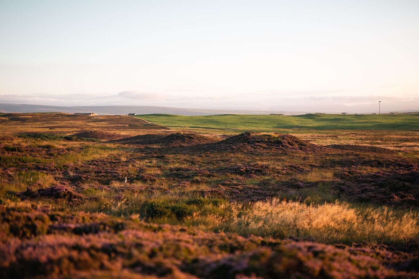 Knowes of Trotty | Orkney.com