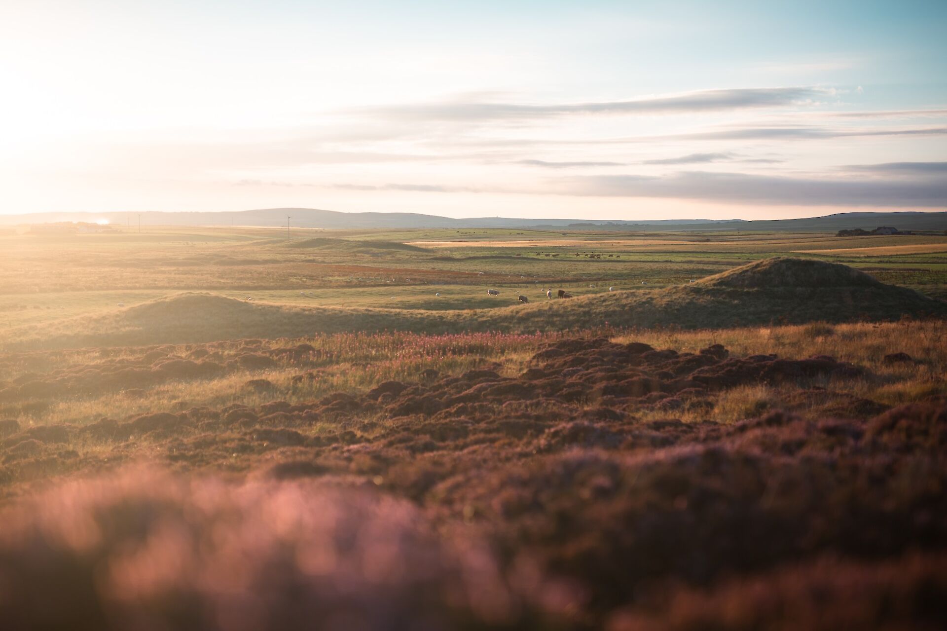Knowes of Trotty | Orkney.com