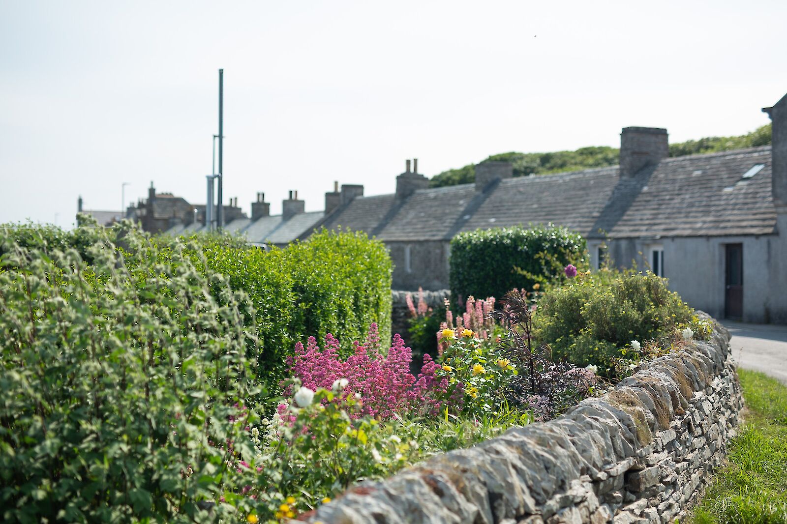 What not to miss in Shapinsay | Orkney.com