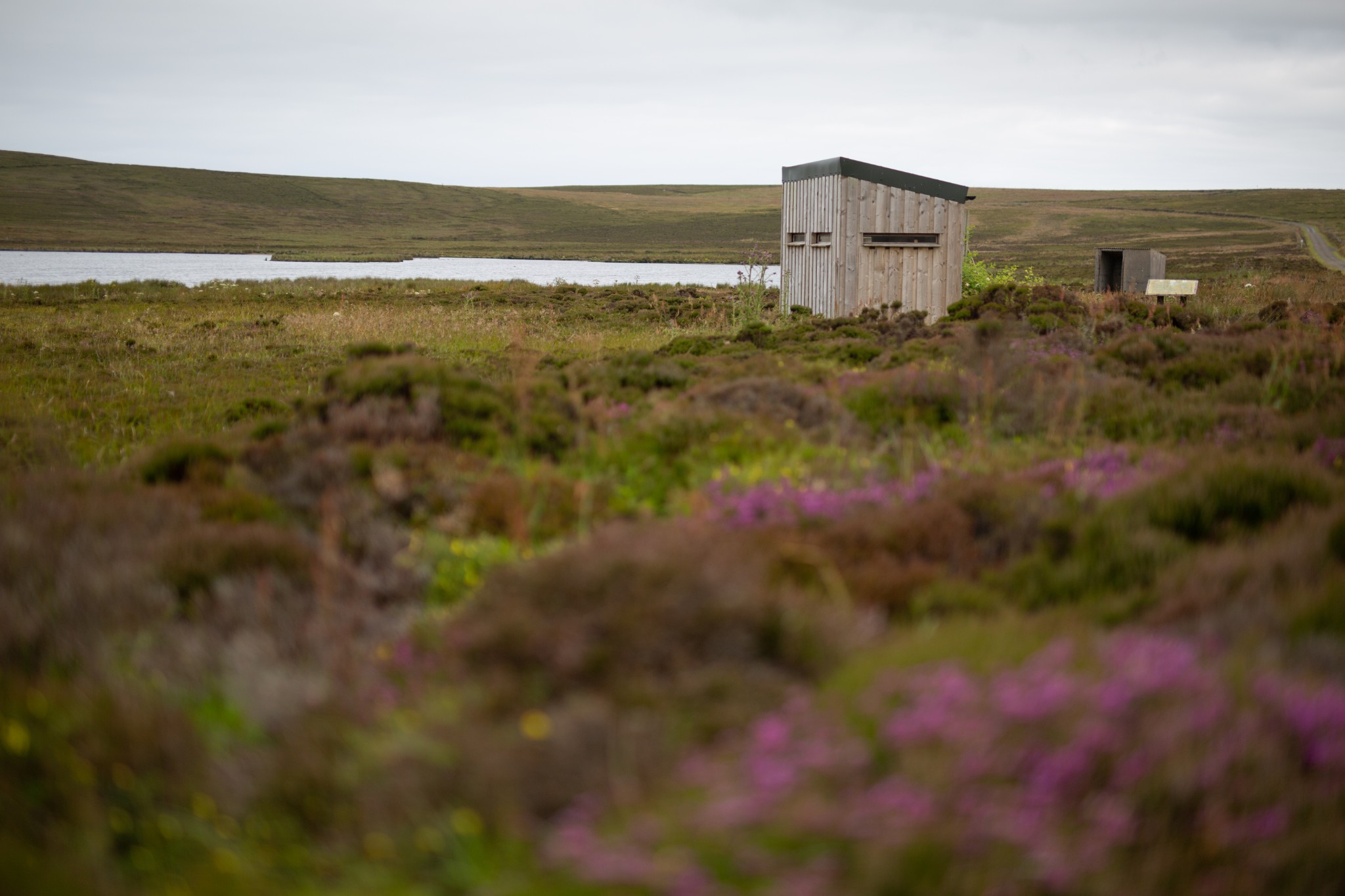 Mill Loch | Orkney.com