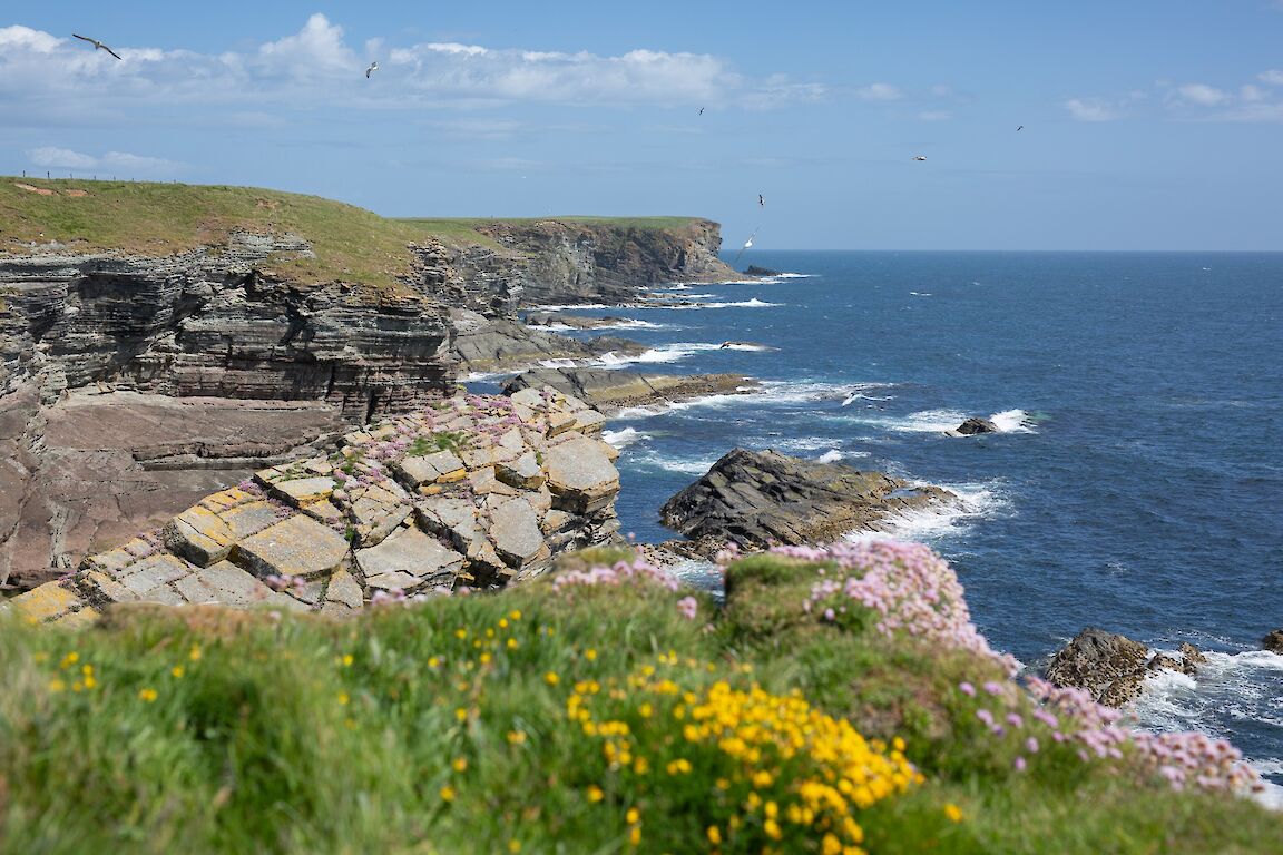 Stronsay | Orkney.com