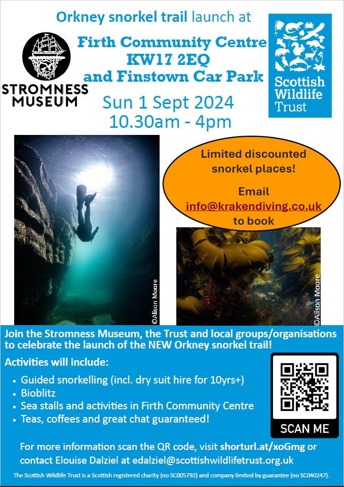 Orkney Snorkel Trail Launch | Orkney.com