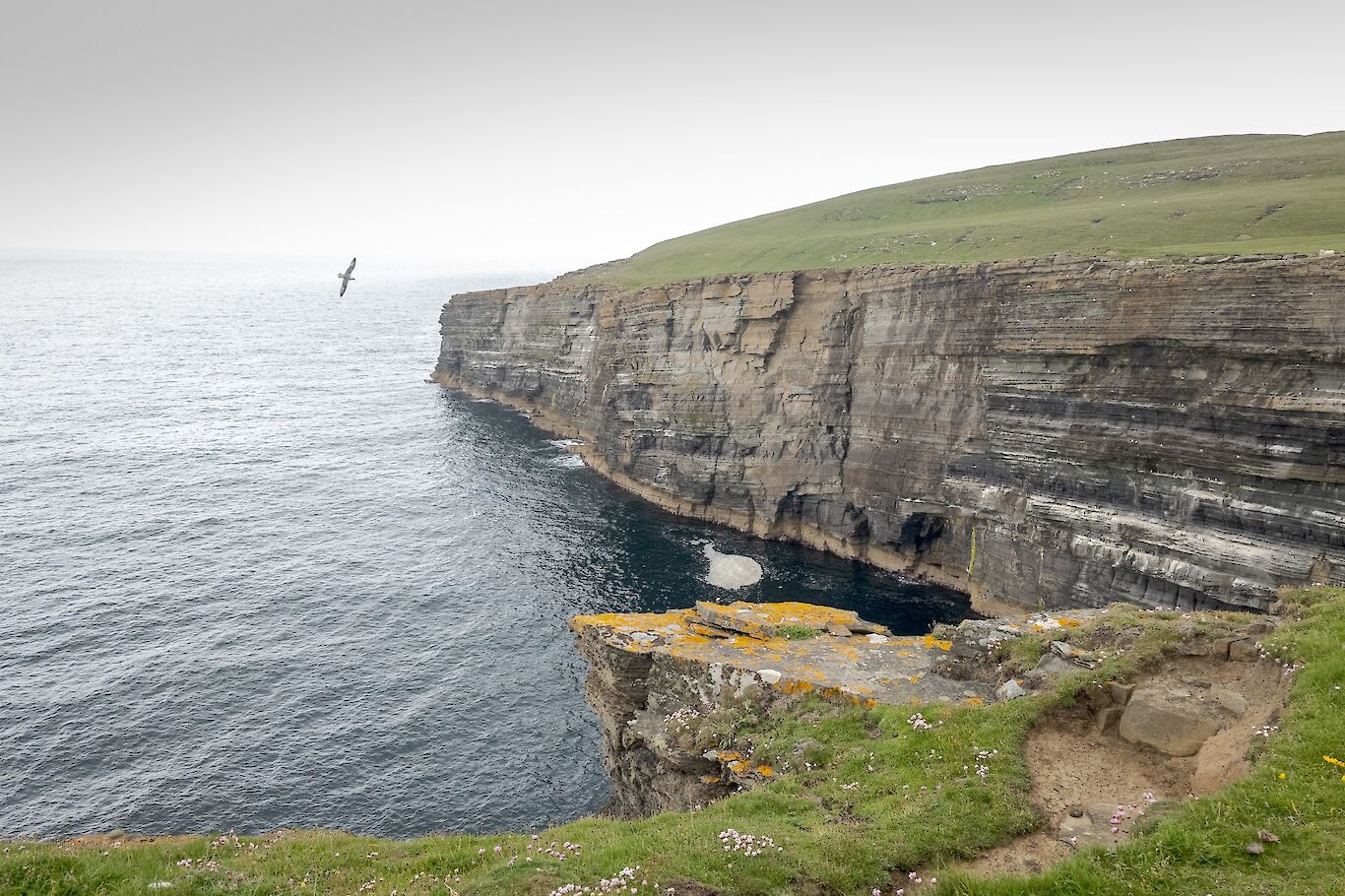 What not to miss in Westray | Orkney.com