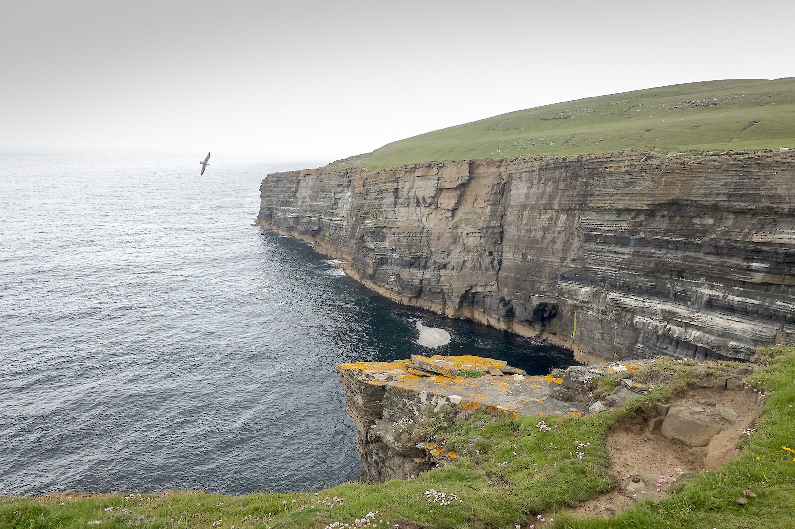 What not to miss in Westray | Orkney.com