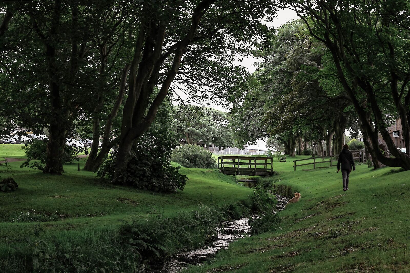 Seven hidden highlights of Kirkwall | Orkney.com