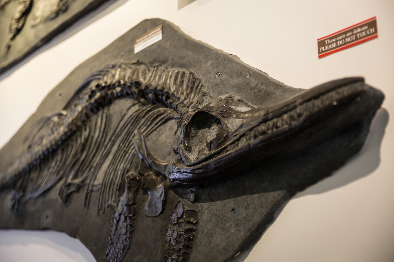 Seven things to do in Burray & South Ronaldsay | Orkney.com