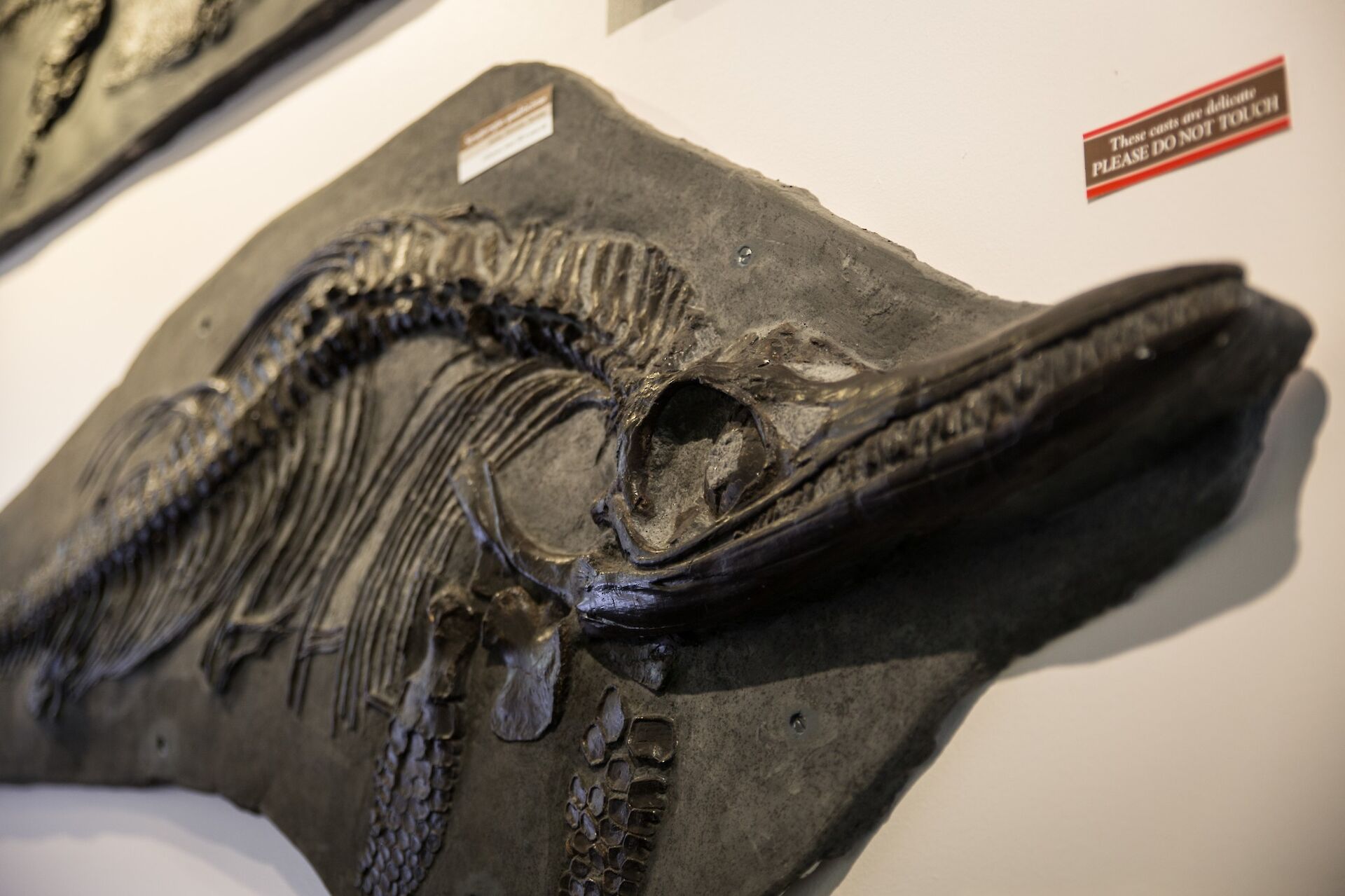 Seven things to do in Burray & South Ronaldsay | Orkney.com