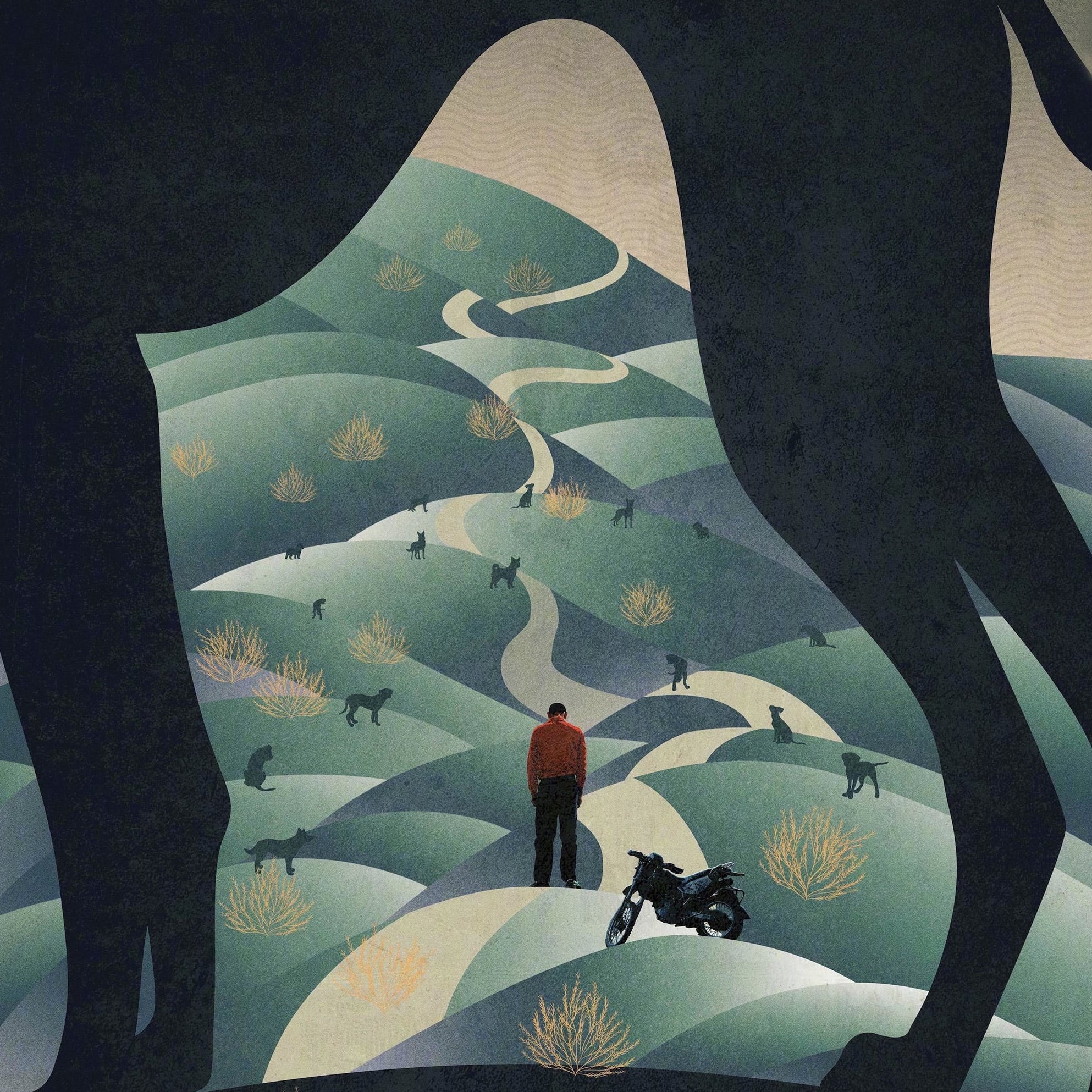 BLACK DOG (12A) | Orkney.com