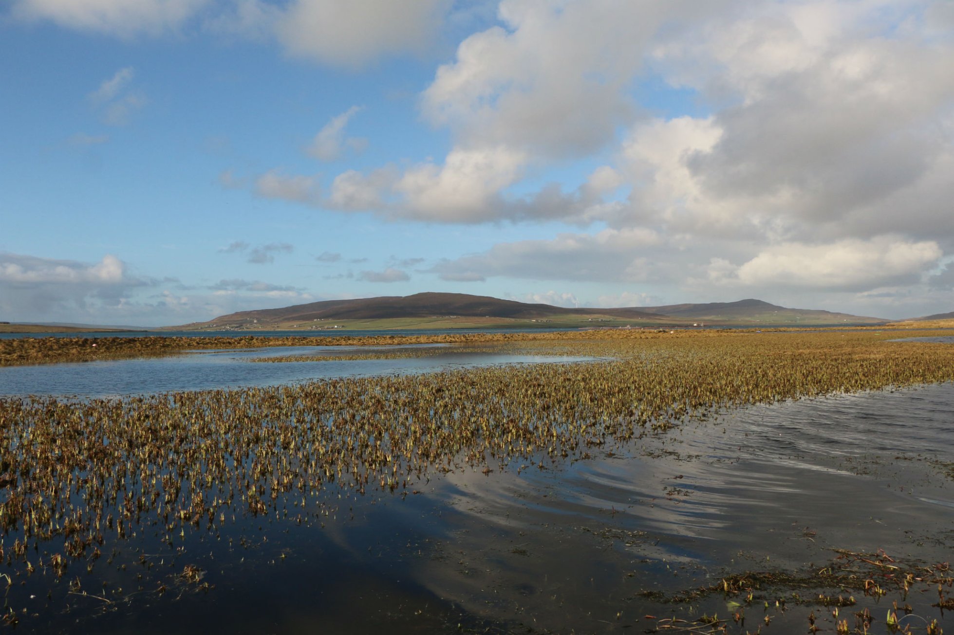 Winter Walk | Orkney.com