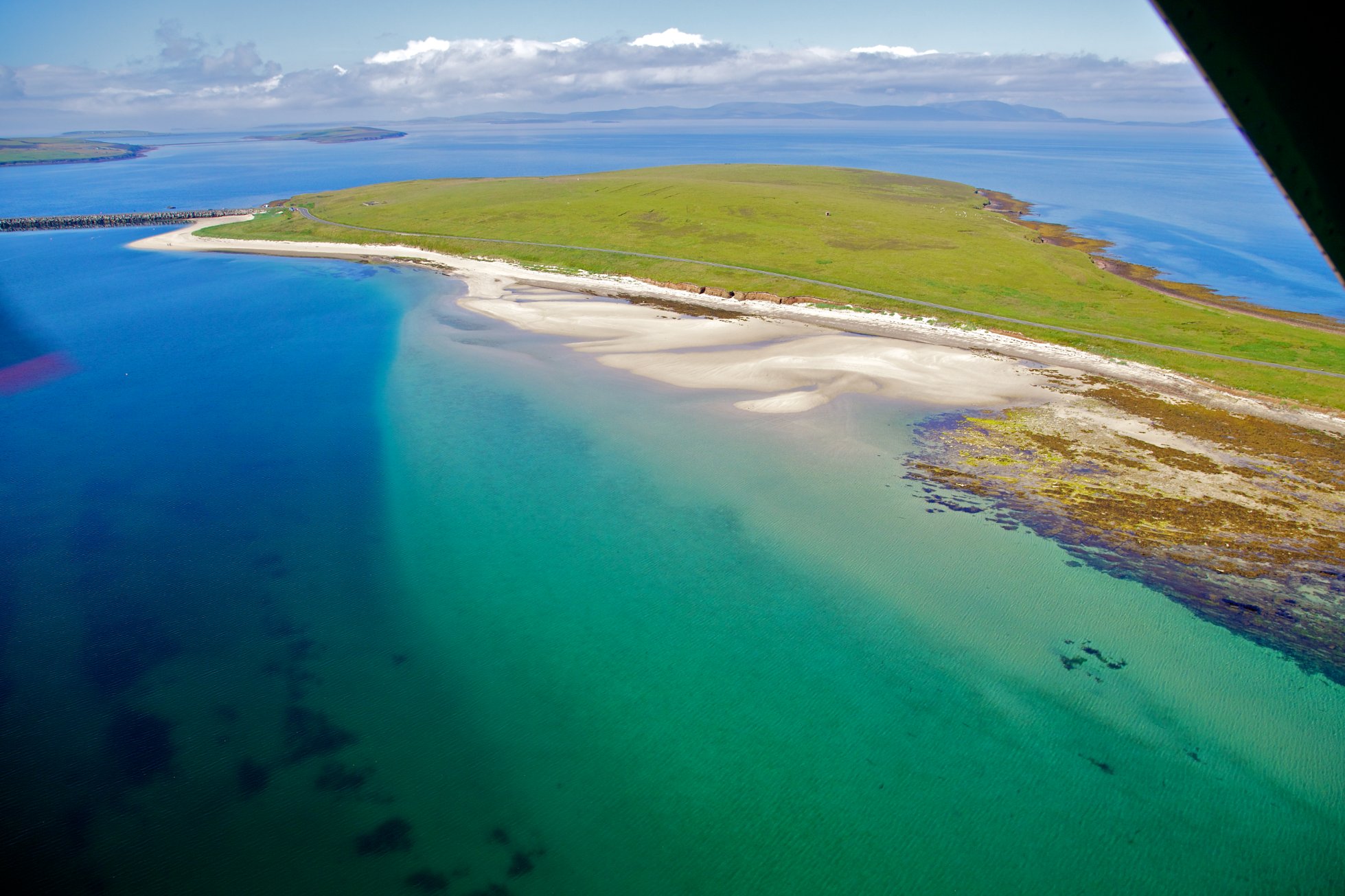 Glimps Holm | Sea Life | Orkney.com